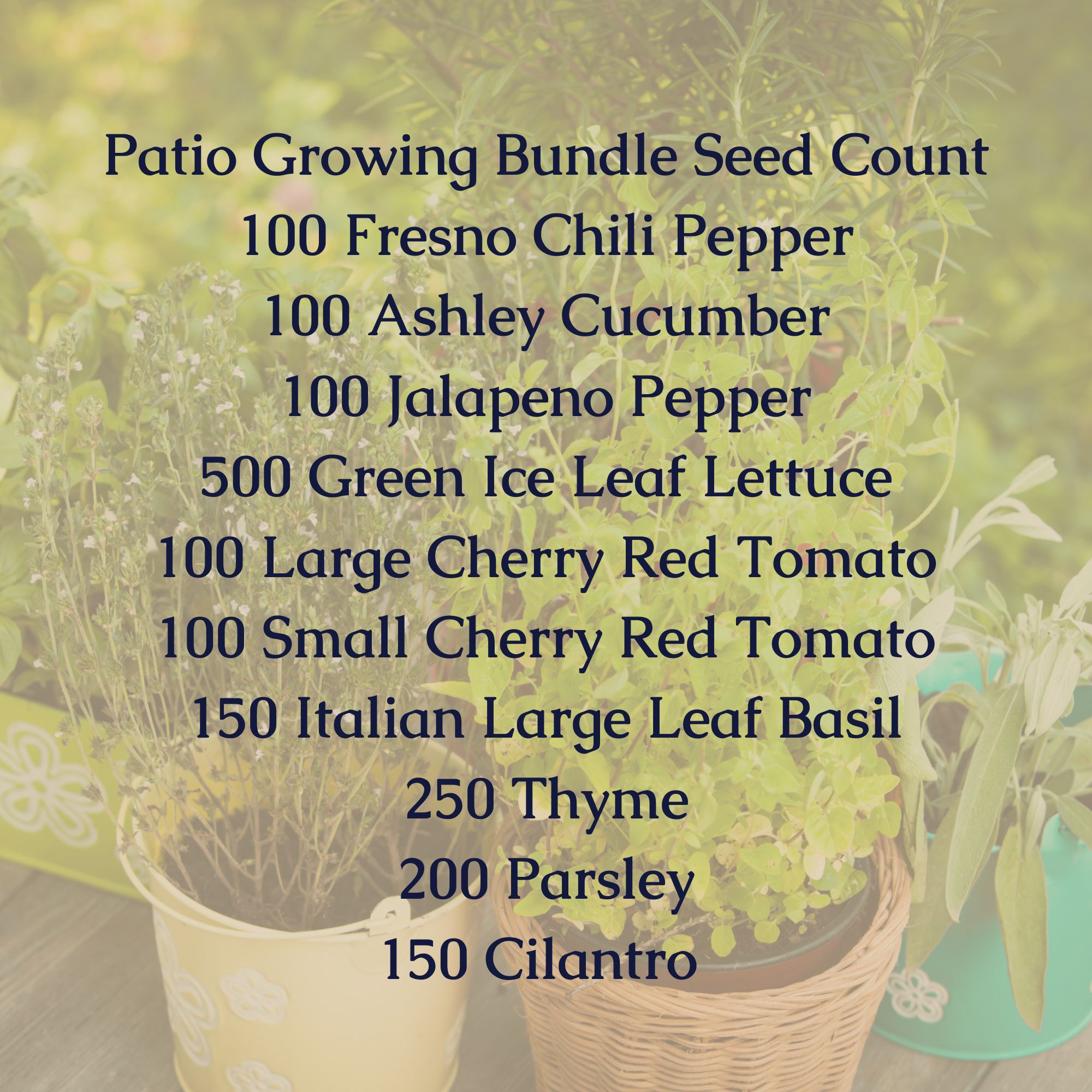 Patio Growing Seed Bundle – My Health Forward