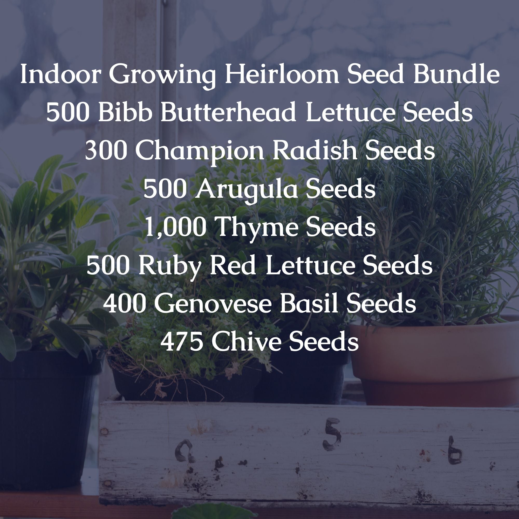 Indoor Growing Heirloom Seed Bundle – My Health Forward