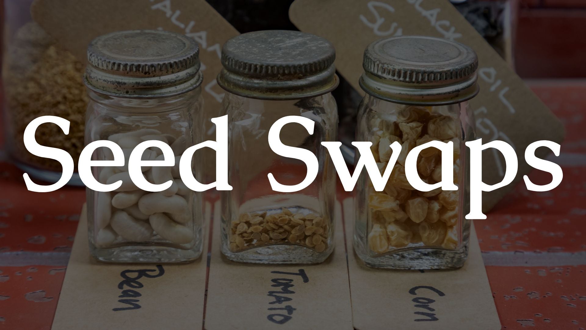 Seed Swap Day – My Health Forward