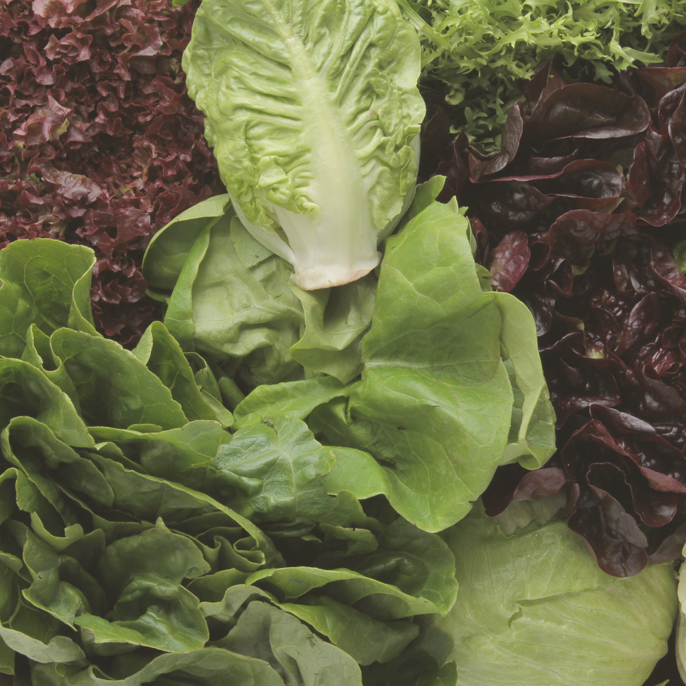 Heirloom Seed Varieties – My Health Forward