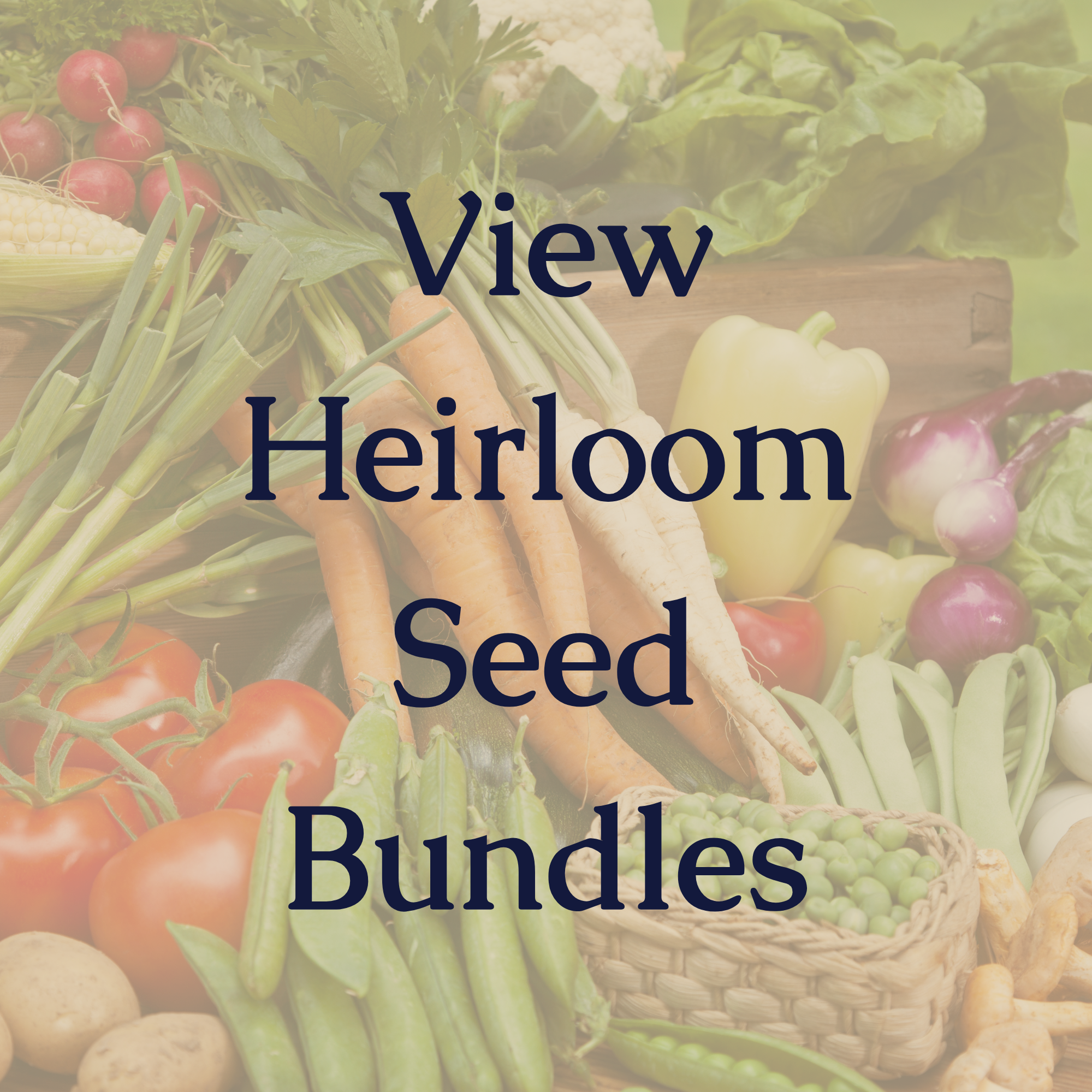 Heirloom Seed Growing Bundles – Page 2 – My Health Forward