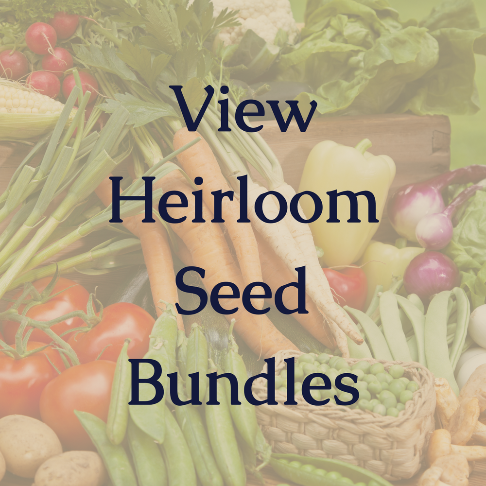 Heirloom Seed Varieties – My Health Forward