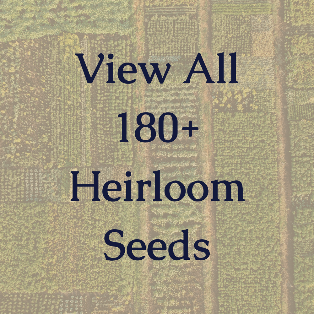 Heirloom Seed Varieties – My Health Forward