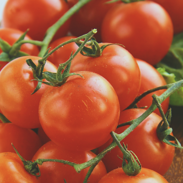 Large Cherry Red Heirloom Tomato Seeds – My Health Forward