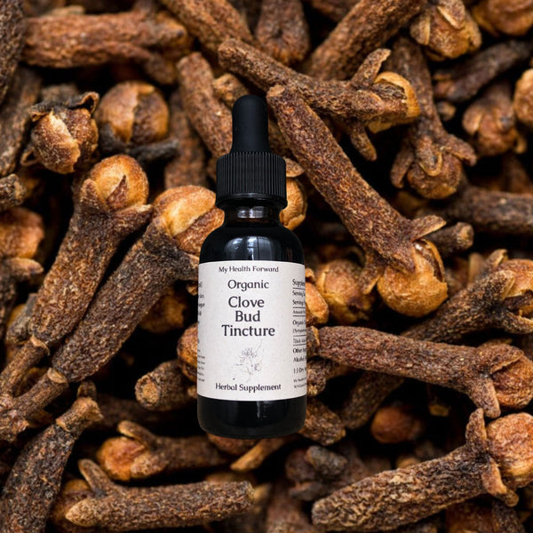Organic Clove Bud Tincture – My Health Forward