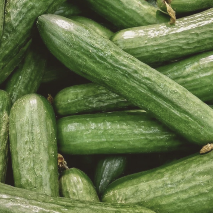 Marketmore 76 Heirloom Cucumber Seeds – My Health Forward