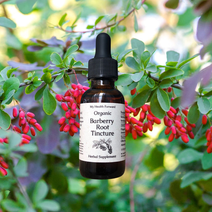 Organic Barberry Root Tincture – My Health Forward