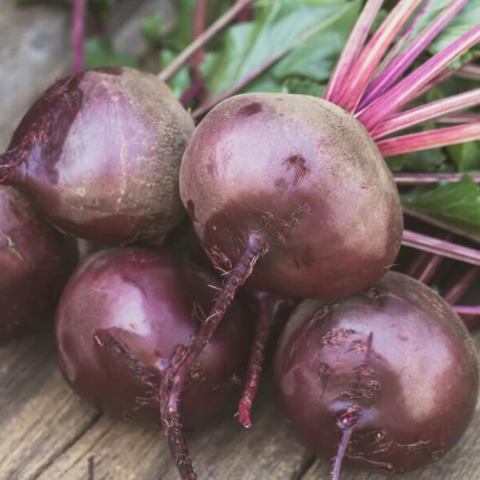 Heirloom Early Wonder Beet Seeds – My Health Forward