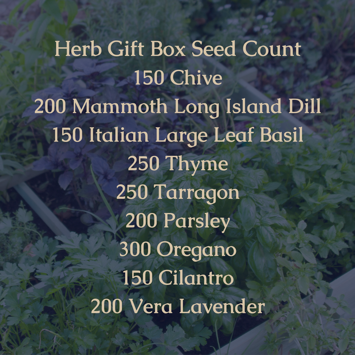 Heirloom Seed Gift Boxes – My Health Forward