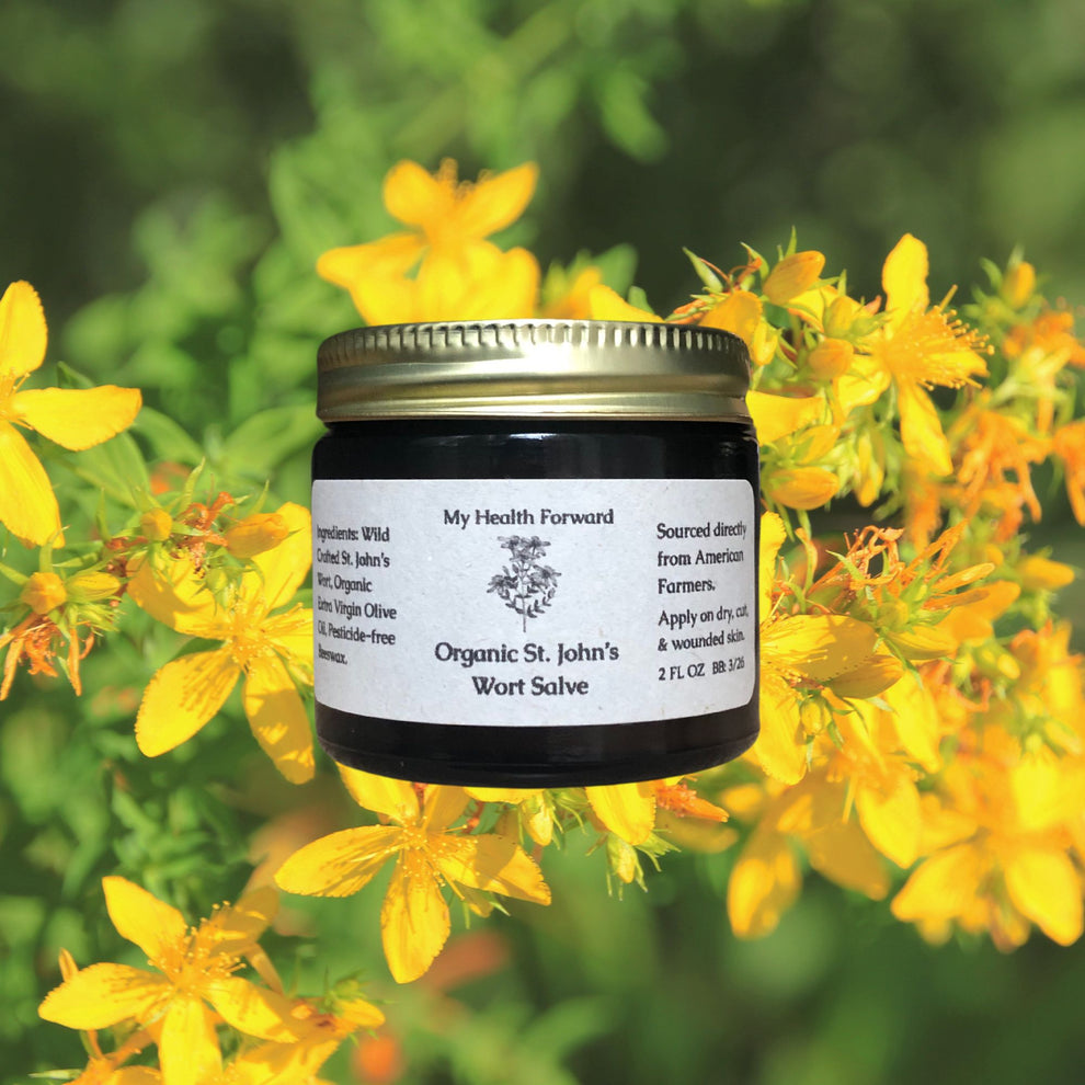 Organic St. John's Wort Salve – My Health Forward