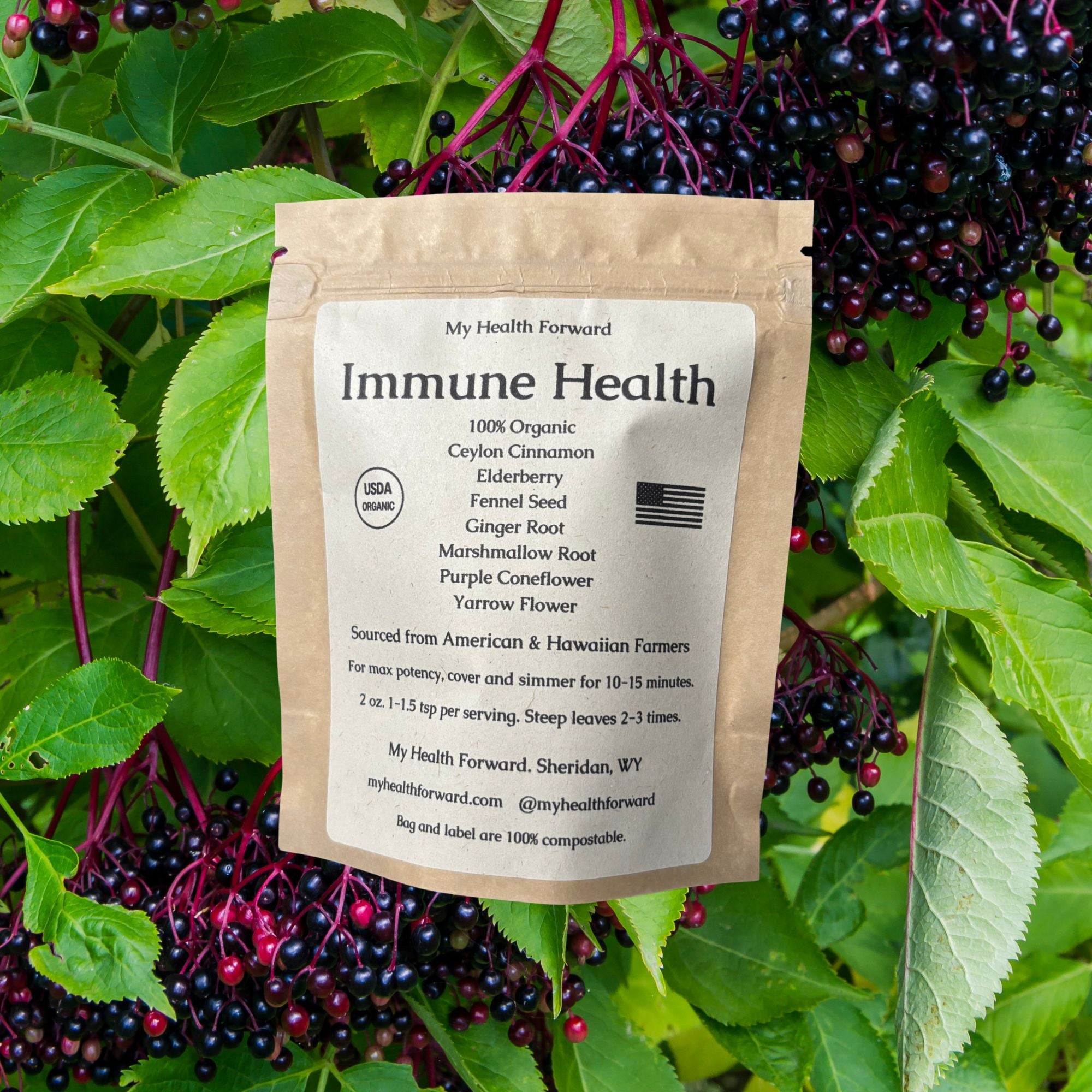 Immune Health Organic Herbal Loose Leaf Tea – My Health Forward