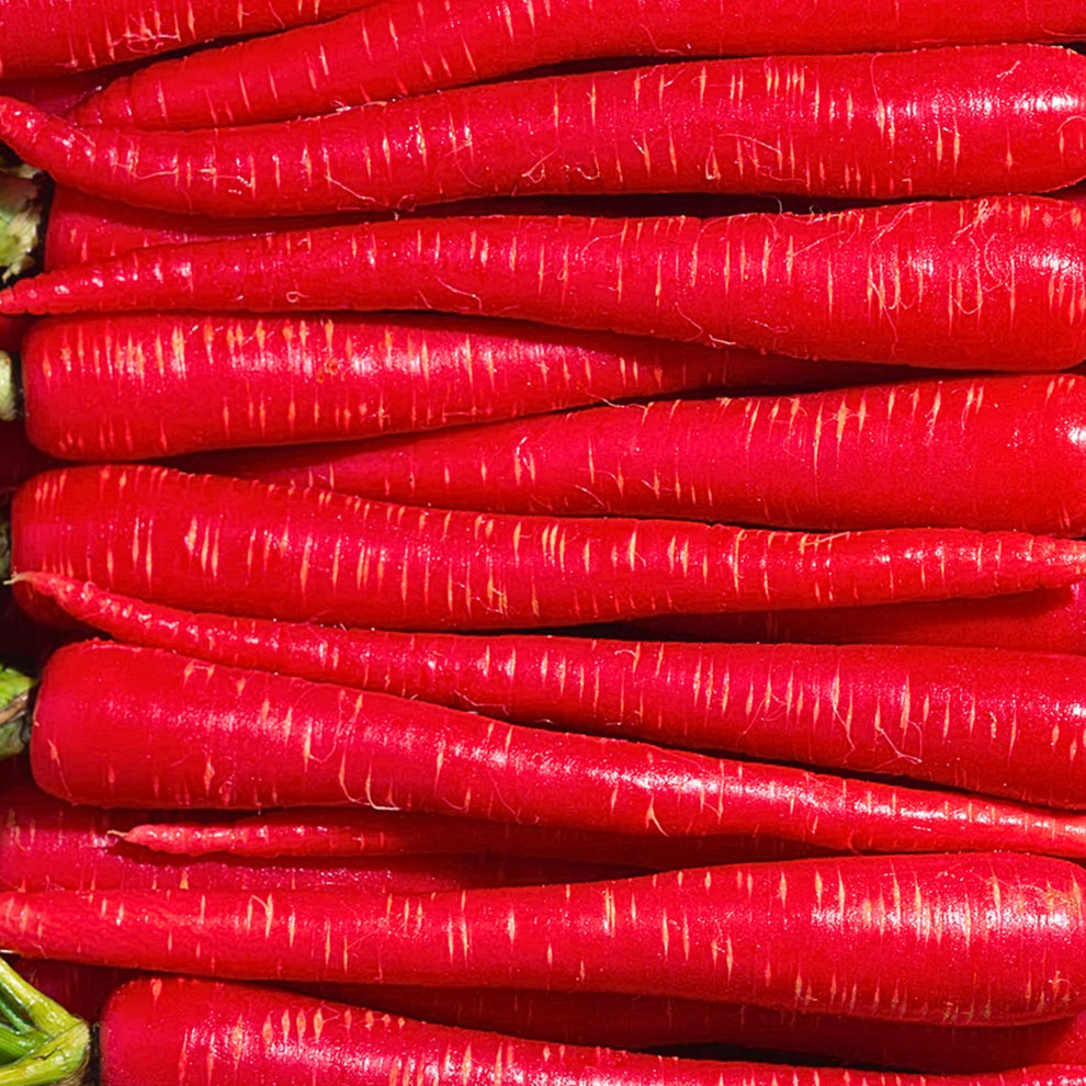 Red Kyoto Carrot Seeds – My Health Forward