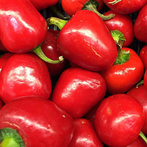 Heirloom Pimento Sweet Pepper Seeds – My Health Forward