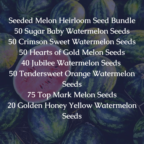 Seeded Melon Heirloom Seed Bundle – My Health Forward