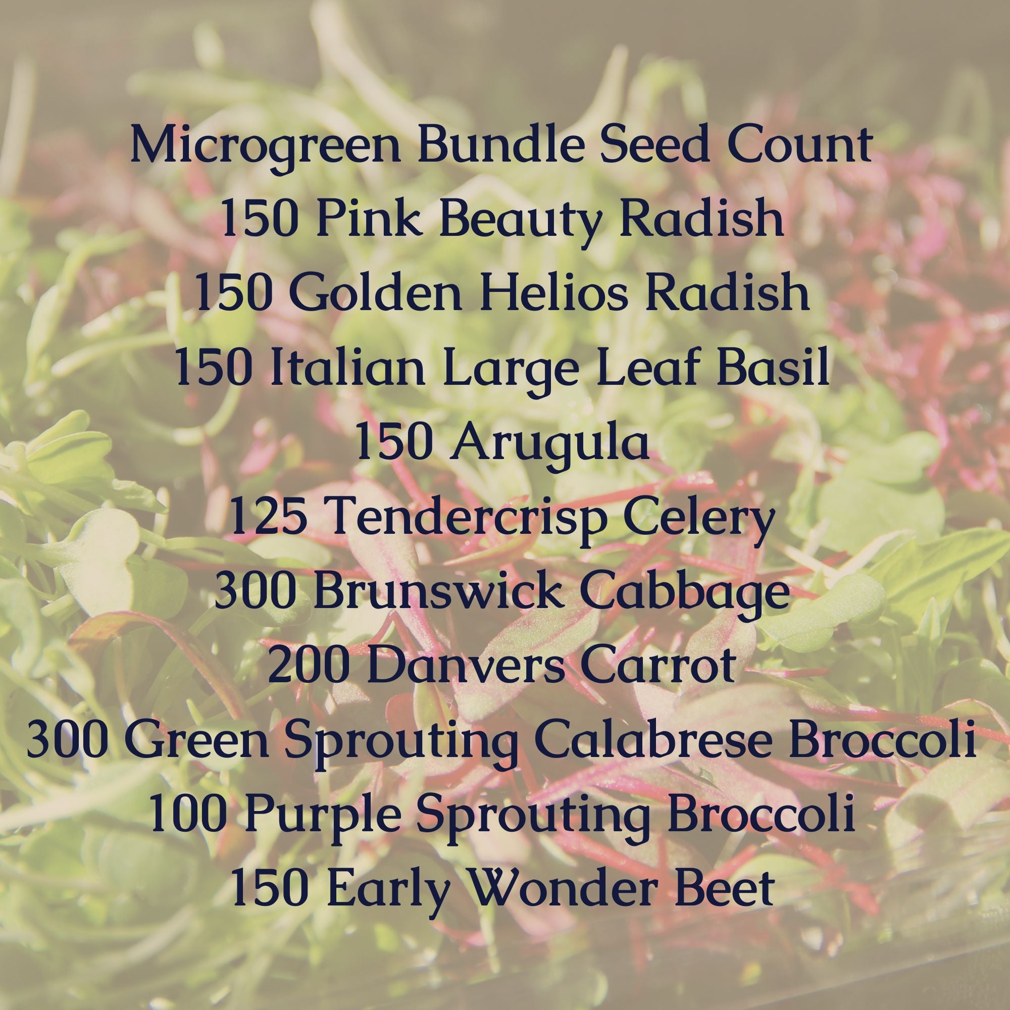 Heirloom Seed Growing Bundles – Page 2 – My Health Forward