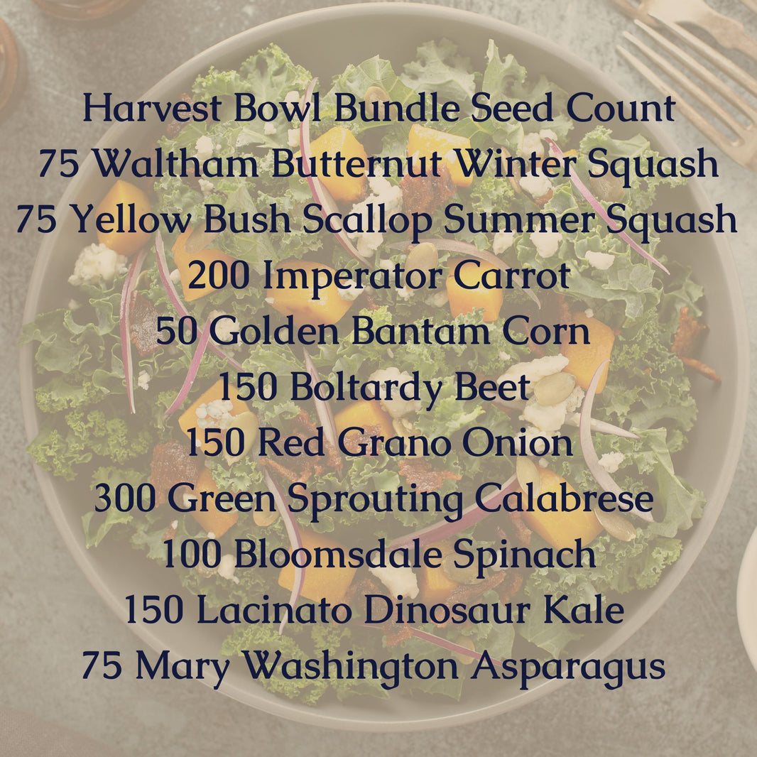 Heirloom Seed Growing Bundles – My Health Forward