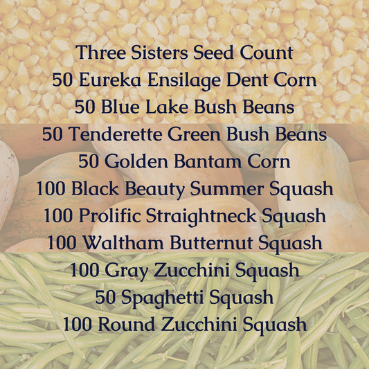 Heirloom Seed Growing Bundles – Page 2 – My Health Forward