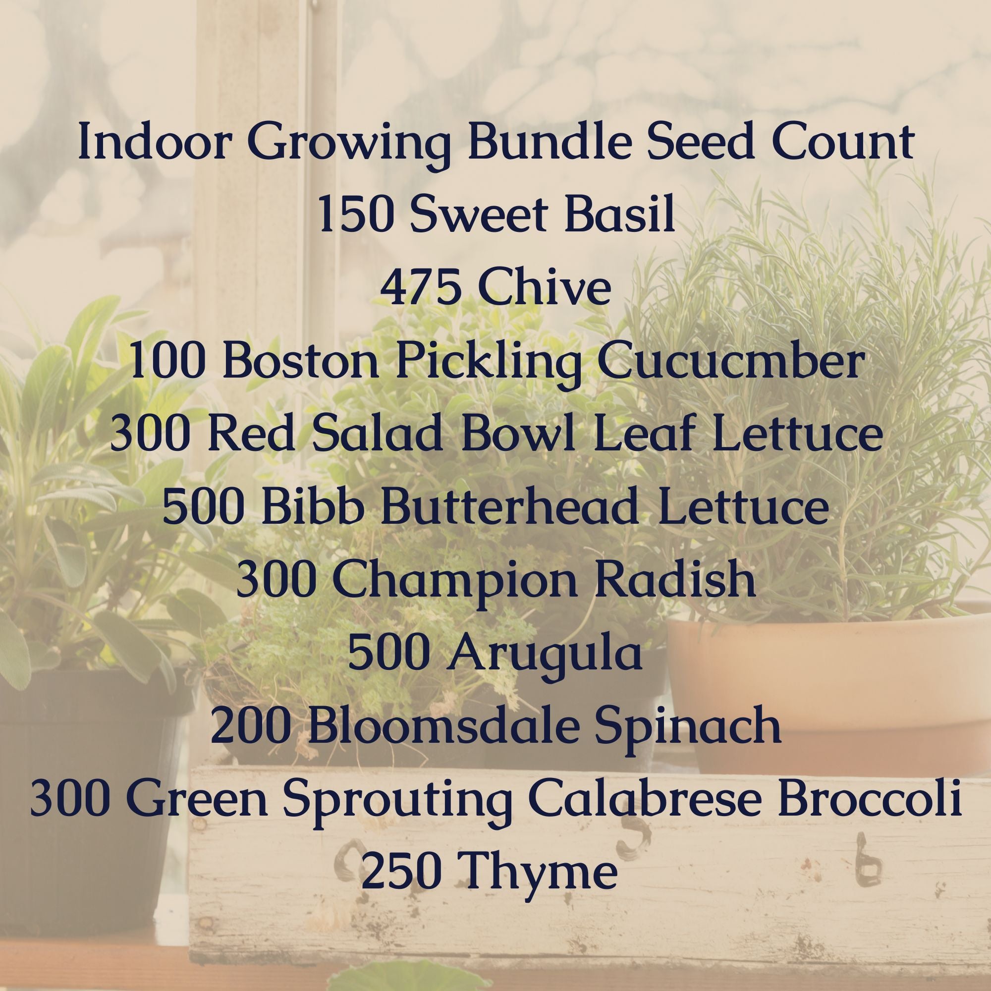 Indoor Growing Seed Bundle – My Health Forward