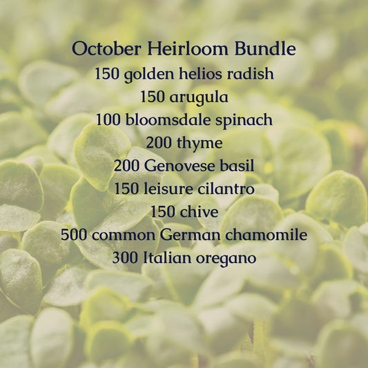 Heirloom Seed Growing Bundles – My Health Forward