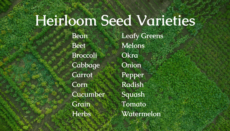 Local Farm, Ranch, and Farmer's Market Map – My Health Forward