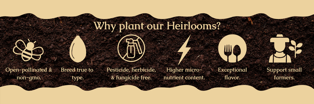 Heirloom Seeds Delivered from the Farm to You – My Health Forward