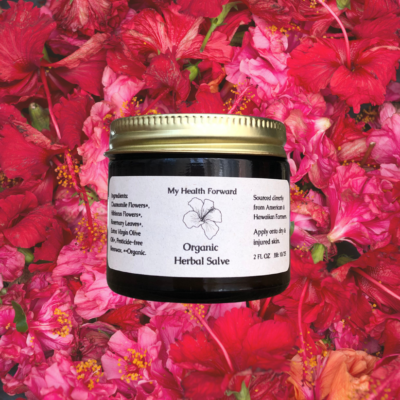 Organic Herbal Healing Salve – My Health Forward