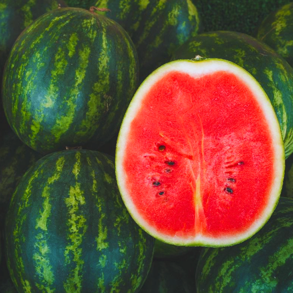 Heirloom Florida Giant Watermelon Seeds – My Health Forward