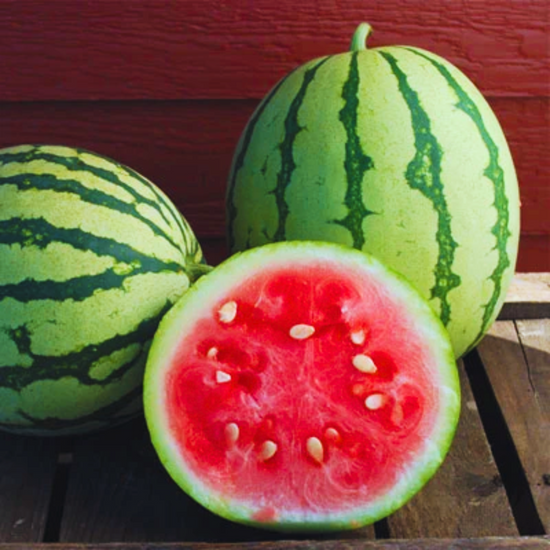 Heirloom Dixie Queen Watermelon Seeds – My Health Forward